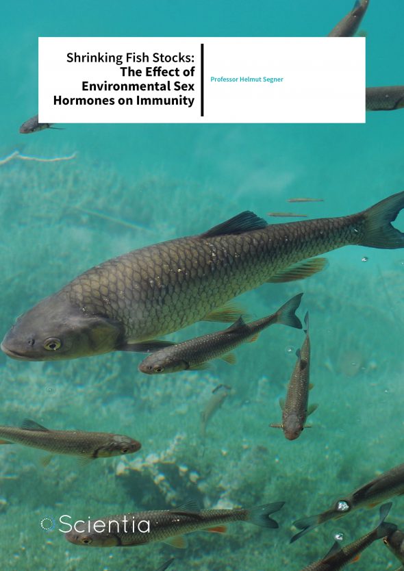 Scientia Issue #109 | From the Cosmos to Life on Earth • scientia.global