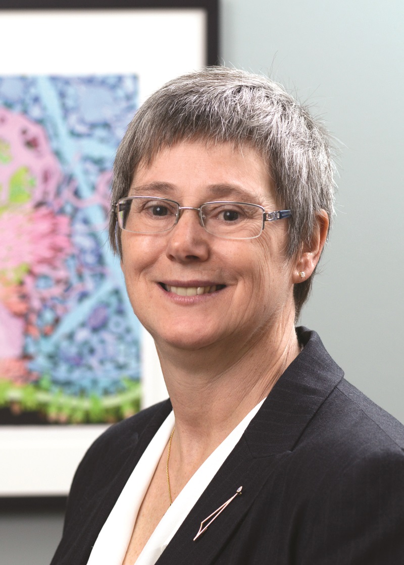 Professor Sandra Schmid - The Dynamics of Dynamin and Cancer Evolution ...