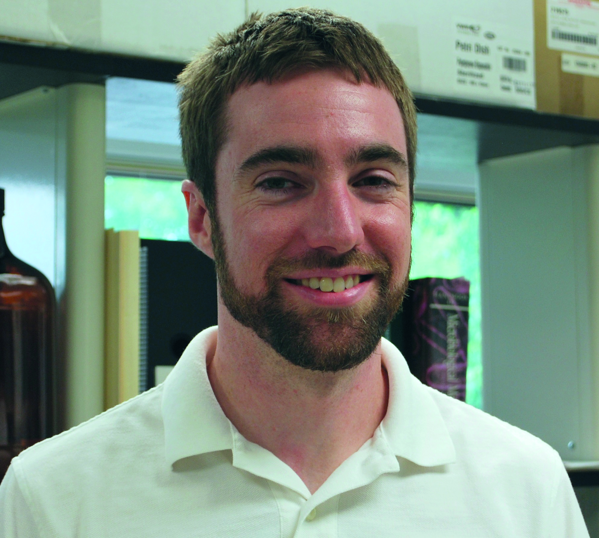 Tomography: An Innovative Technique for Assessing Forest Carbon Storage ...