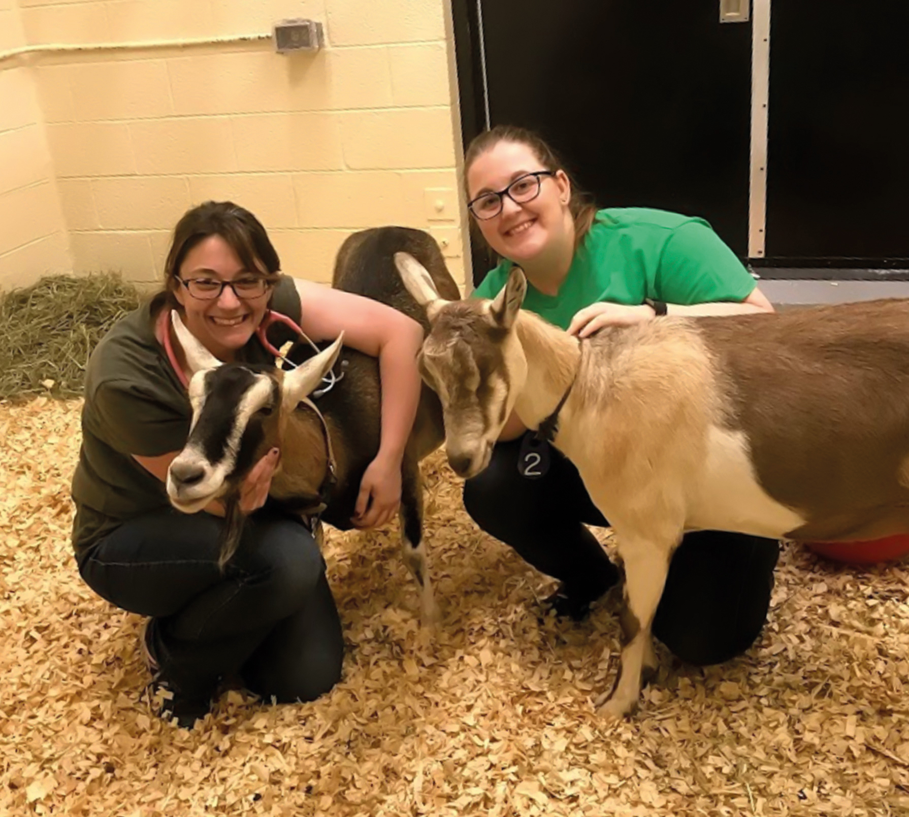 FARAD: Reducing Chemical Residues in Animal Products • scientia.global