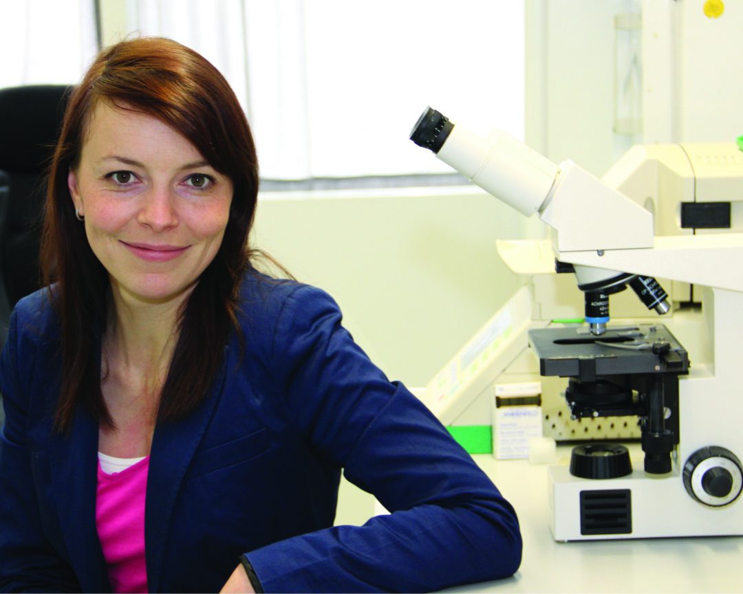 Dr Susann Fischer | Professor Thomas Becker - Brewer’s Yeast ...