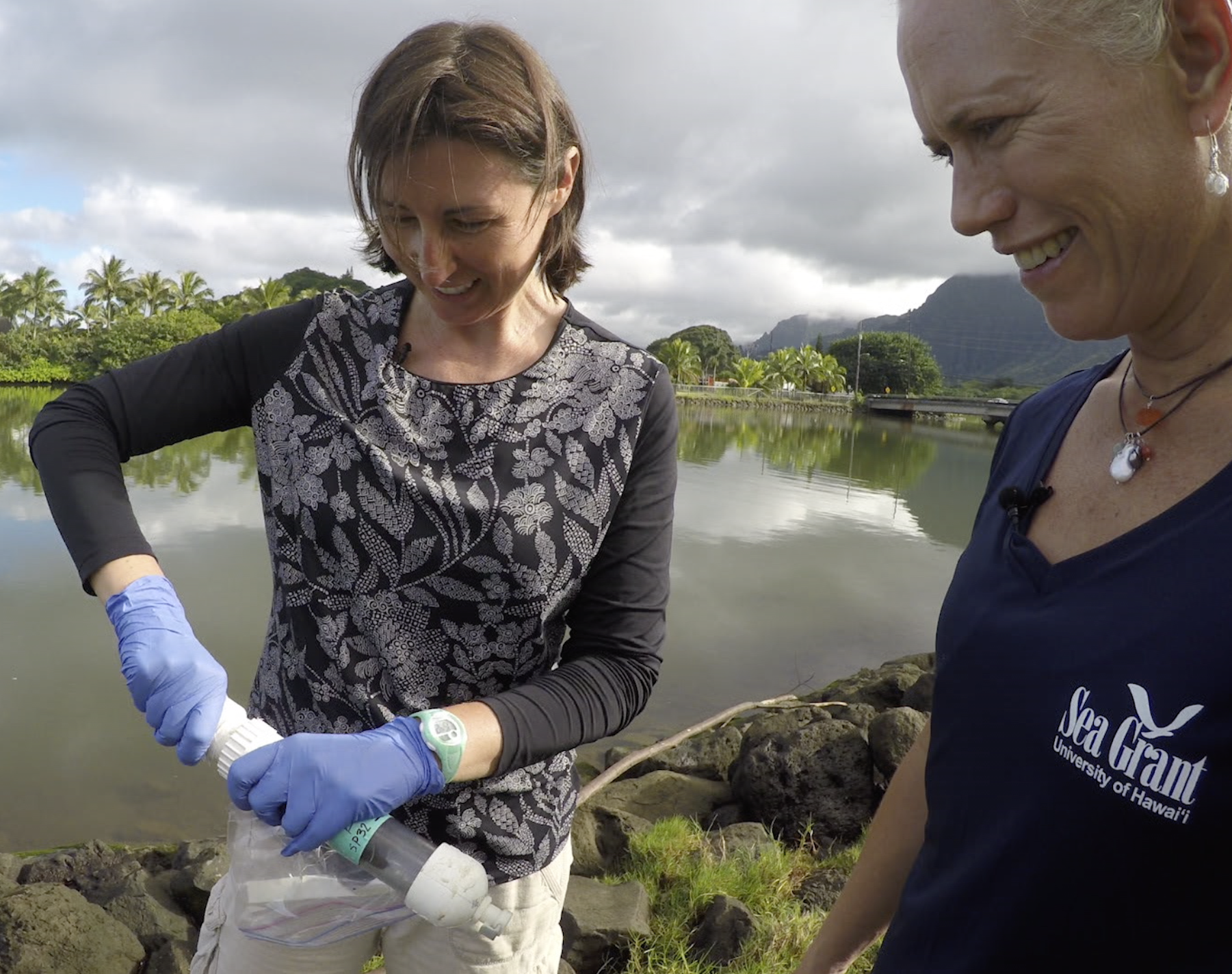 Dr Kanesa Duncan Seraphin - Voice of the Sea: Innovation in Science ...