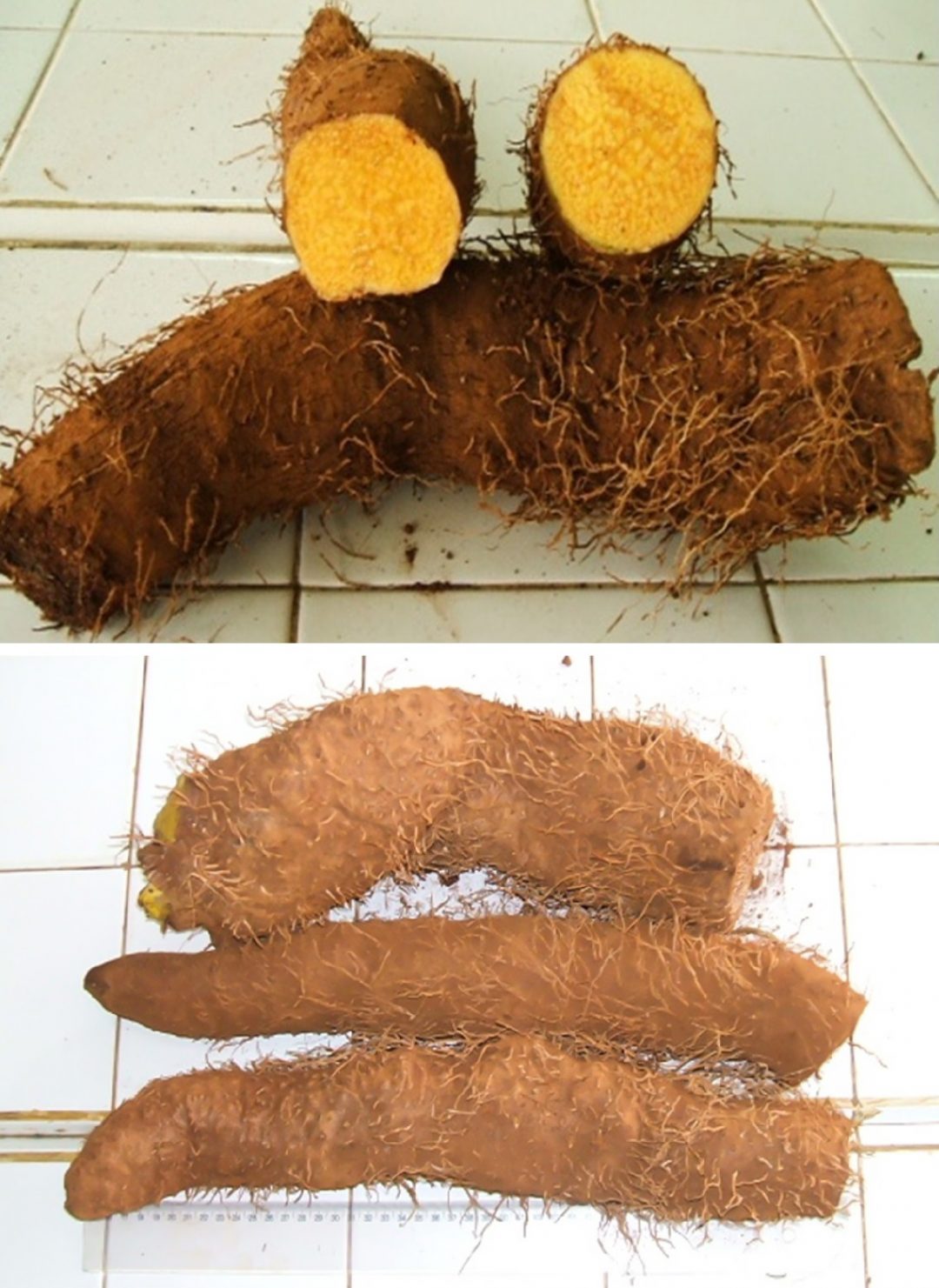 Dr Marlyse Leng - Creating Nutritious Baby Food from Local and ...