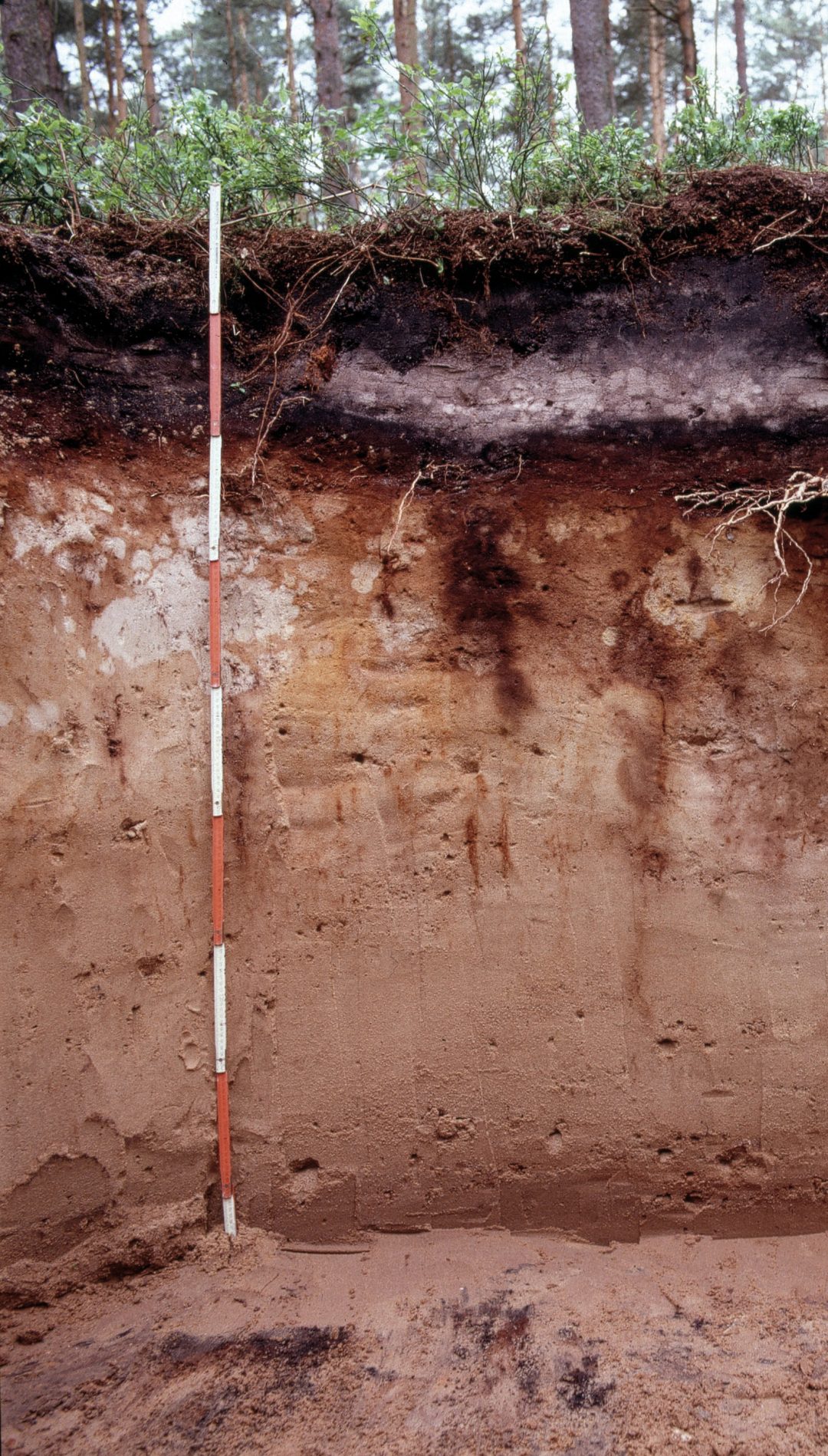 Dr Mike Müller-Petke | Dr Stephan Costabel - Enhancing Groundwater ...