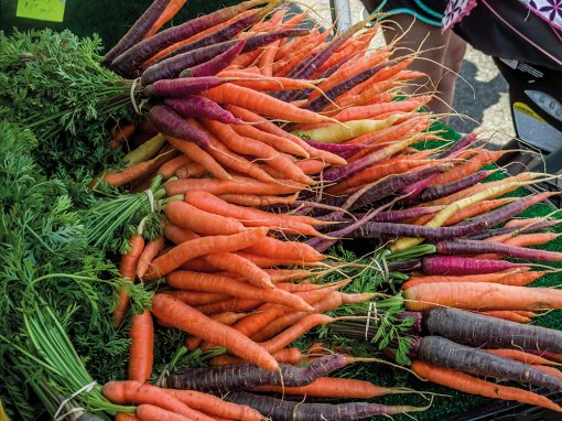 Dr Philipp Simon - Investigating Carrot Colours to Produce Healthier ...