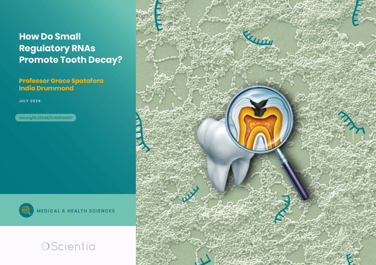 Home • scientia.global