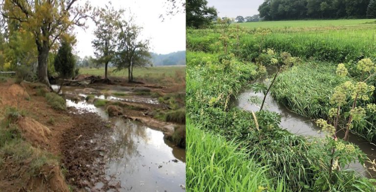 Dr Richard Teague - Achieving Sustainable Farming Through Regenerative ...