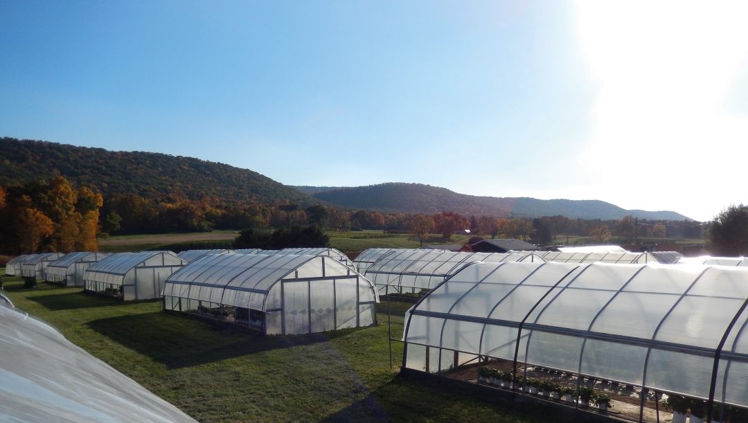 TunnelBerries: Enhancing the Sustainability of Berry Production ...