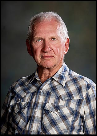 RK Pete Wade | Seeing the Wood for the Trees – A Better Way to Measure ...